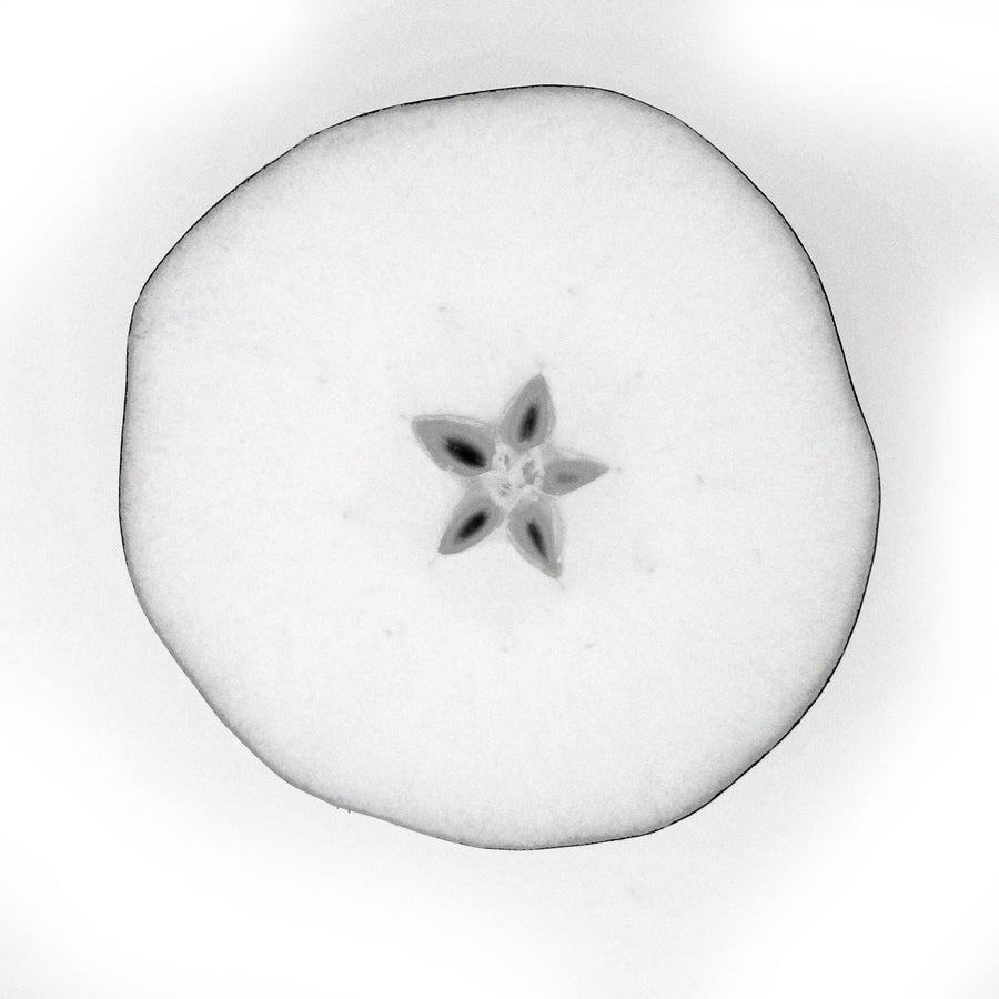 PERS Skincare - Un protocole de soins du visage en 4 actions